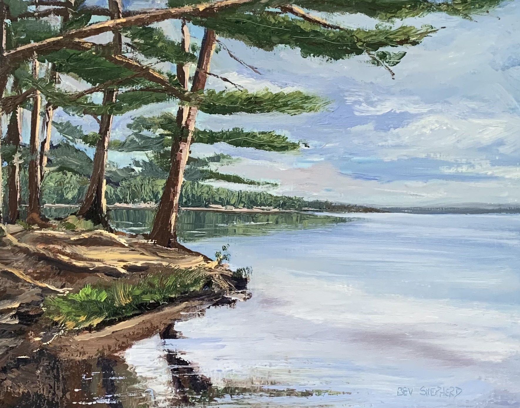 Gallery – Bev Shepherd – Oak Lake Artist